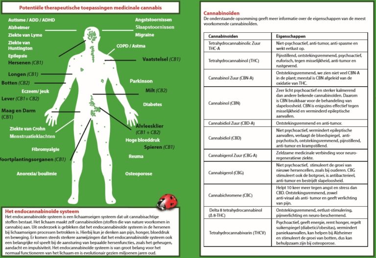 Het endocannabinoïde systeem en cannabinoïden uitgelegd - PGMCG